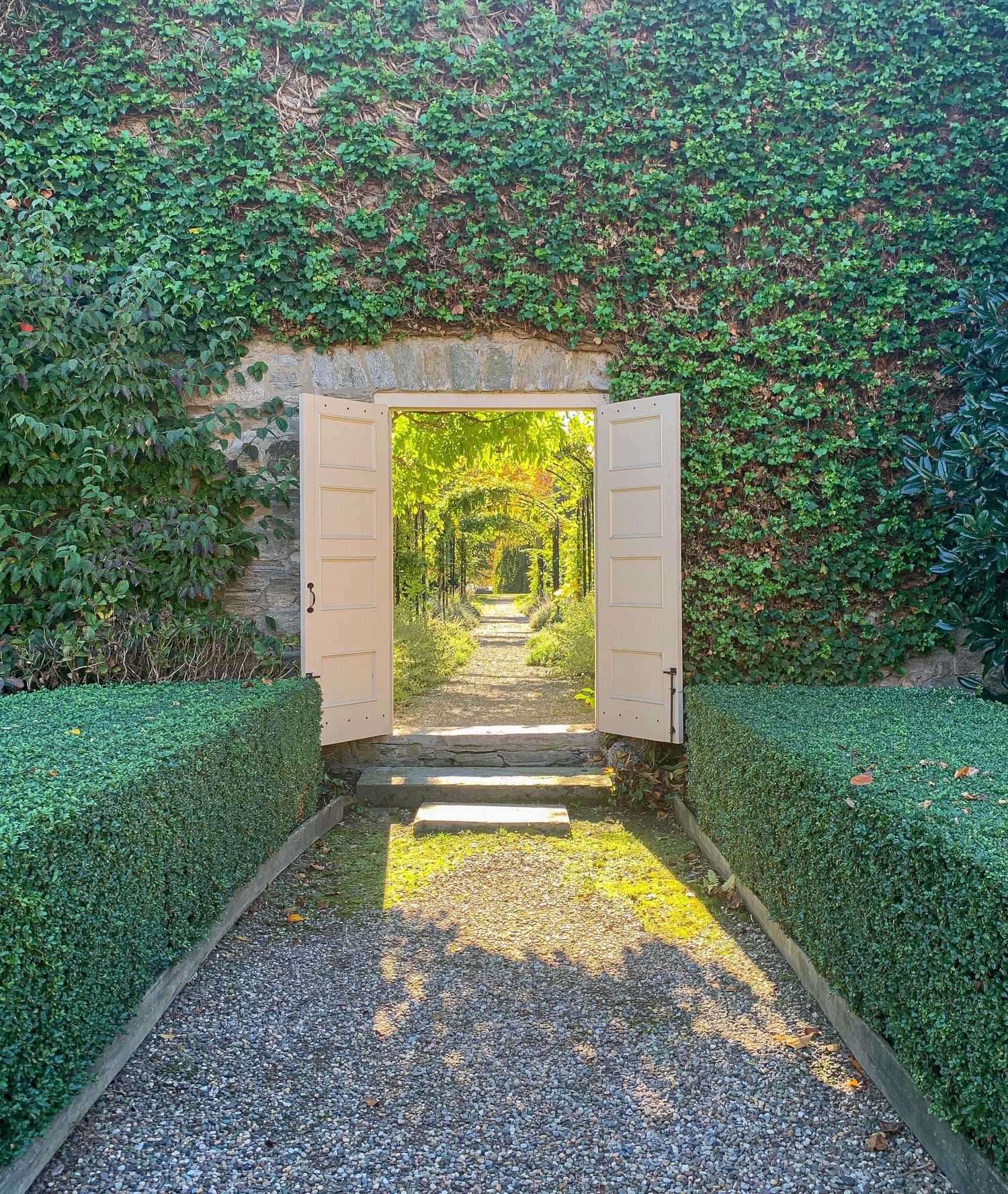 Farryl Leshner Photography