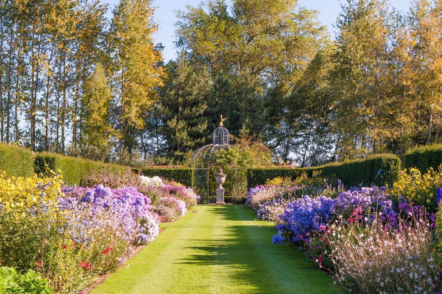 Paradise & Plenty - Tom Hatton