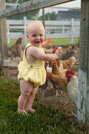 Helen Provost Photography