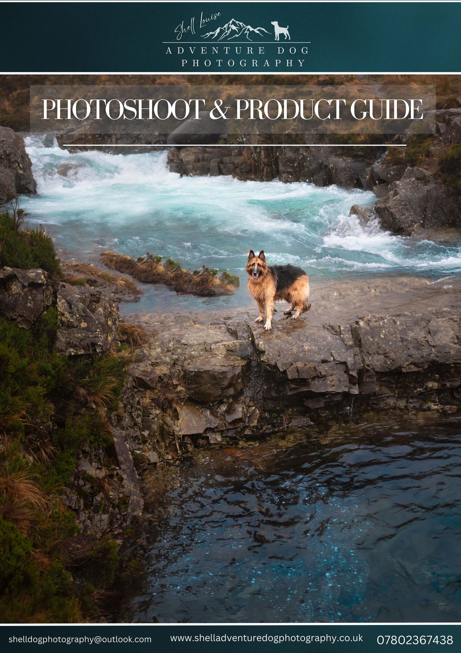 shell adventure dog photography photoshoot & product guide ...