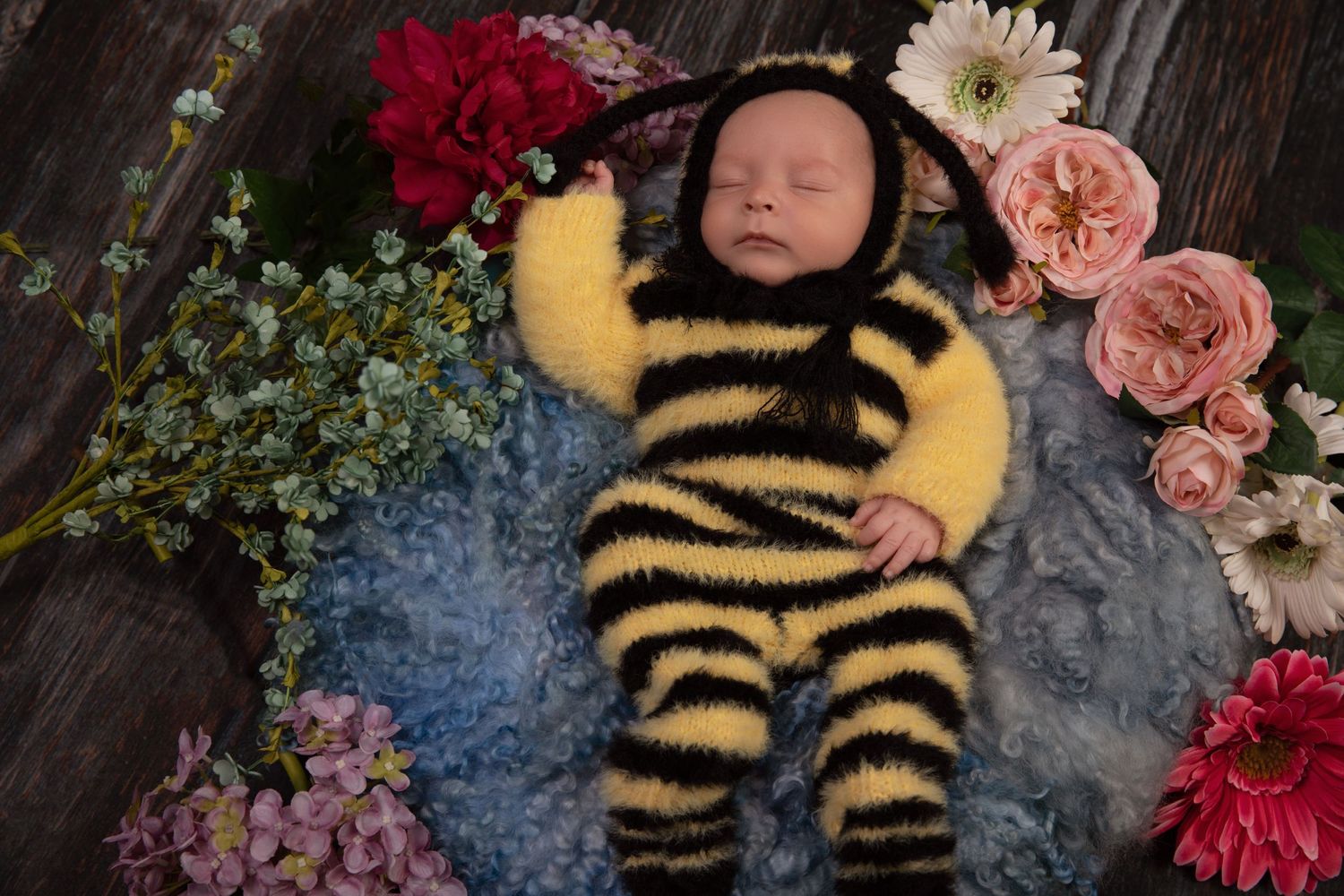 Casual - MC CREATION