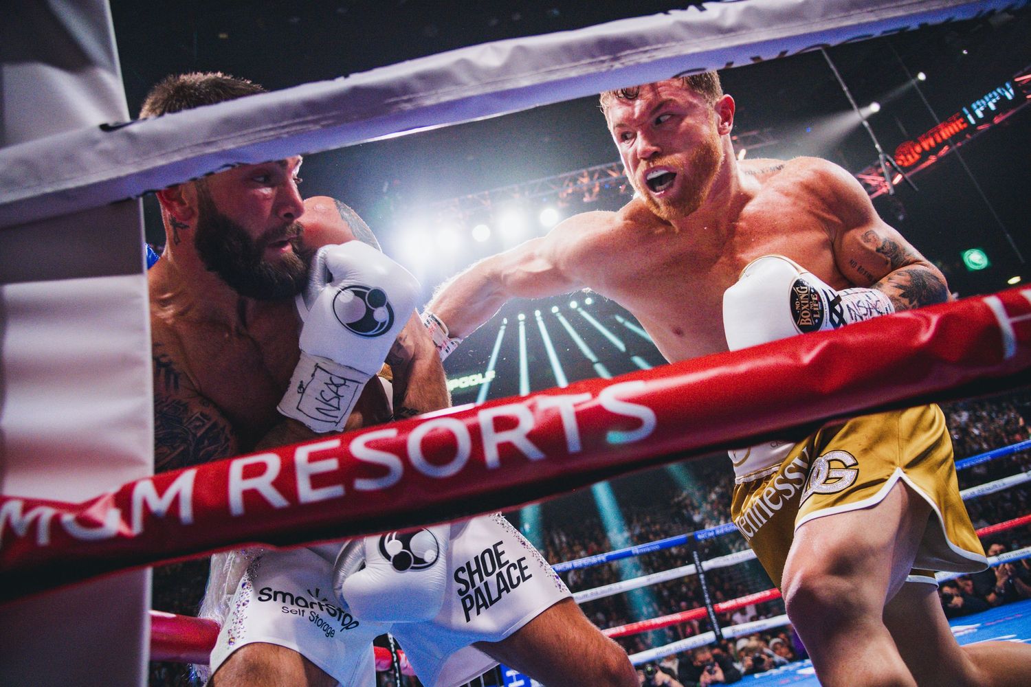 Canelo Alvarez - Jorgensen Photography