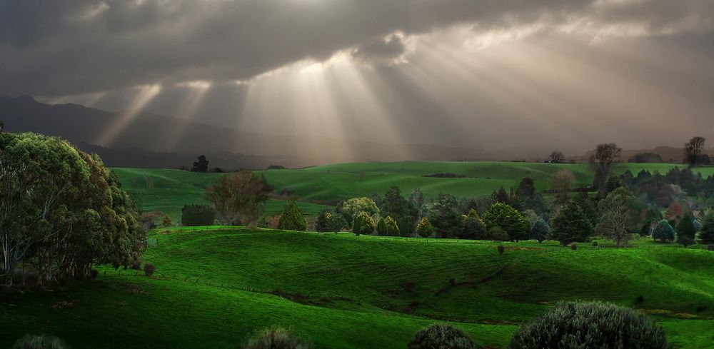 Kim Howells Photography, Kim Howells Photography Training