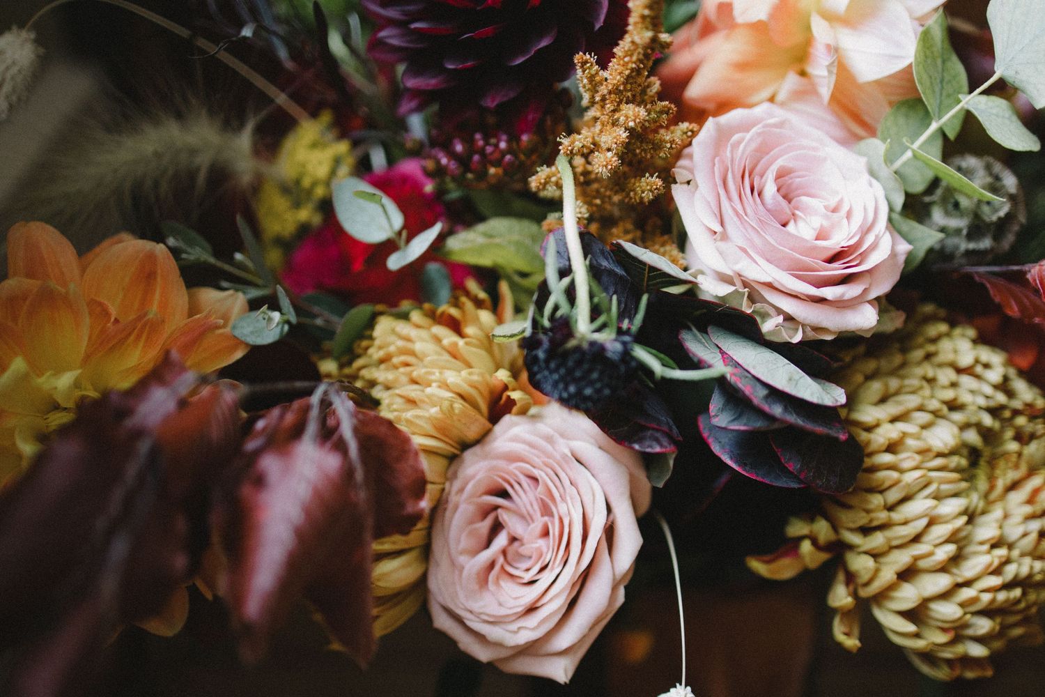 Callie Gilbert Photography