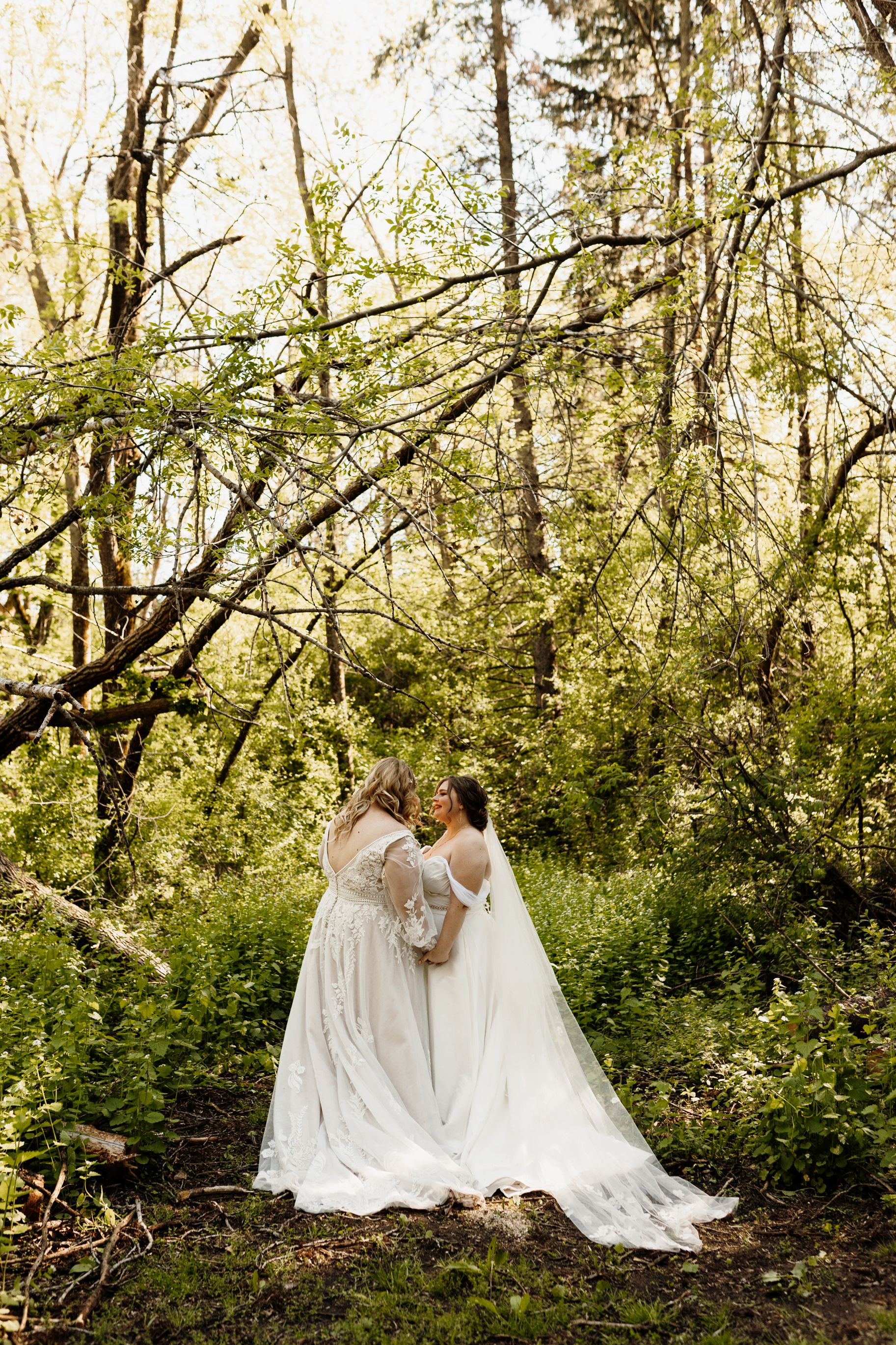 Tess Ender Photography