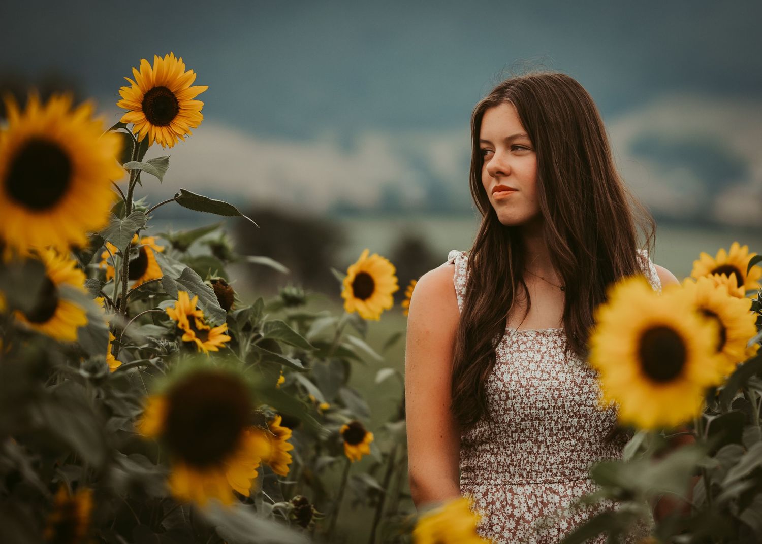 Contact - Laura Honaker Photography