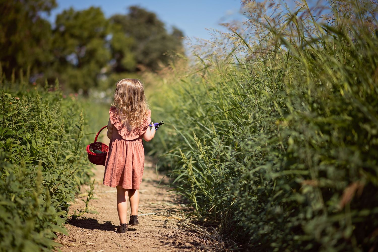 About - Amelia Clare Photography