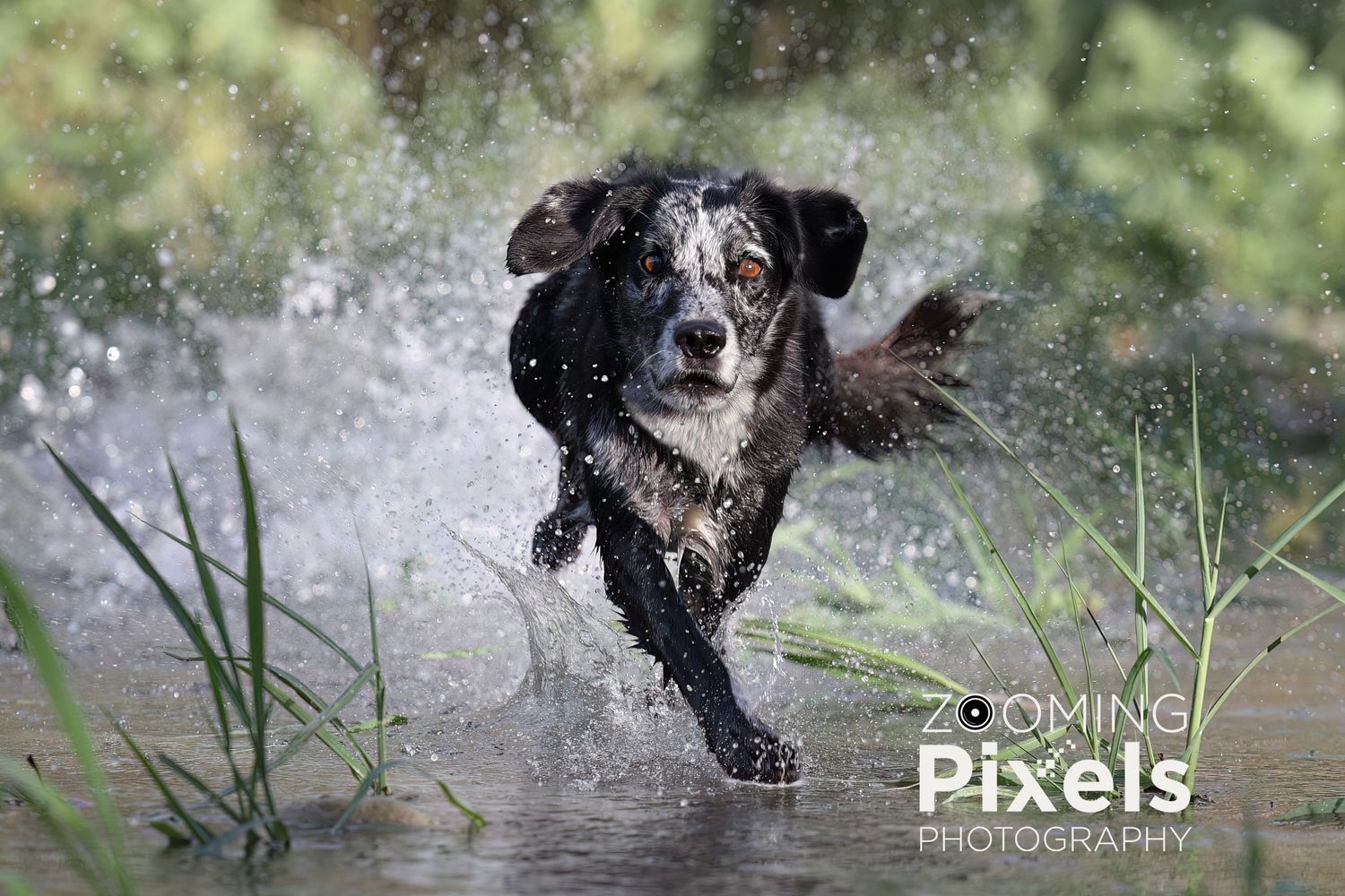 Zooming Pixels Photography