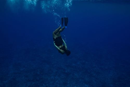 Reef Diving - Go Local Cook Islands | Rarotonga's Best Turtle Tour