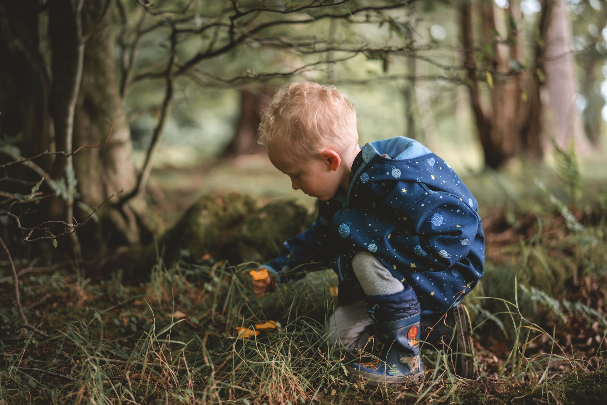 Foraging: All You Need To Know - The Grizzly Forager: The Definitive ...