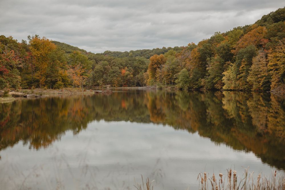 Moody Fall Engagement - Makenna Lynn Photography