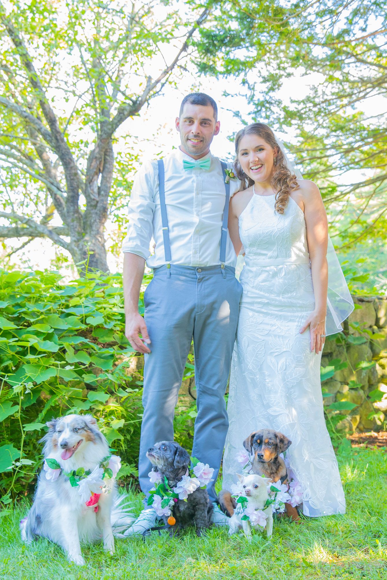 Portfolio - Neilson Photography