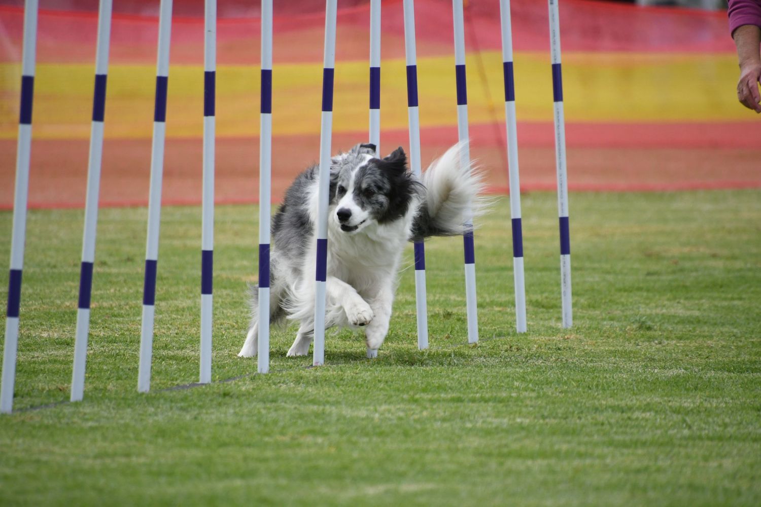 Tazzie Eggins Photography