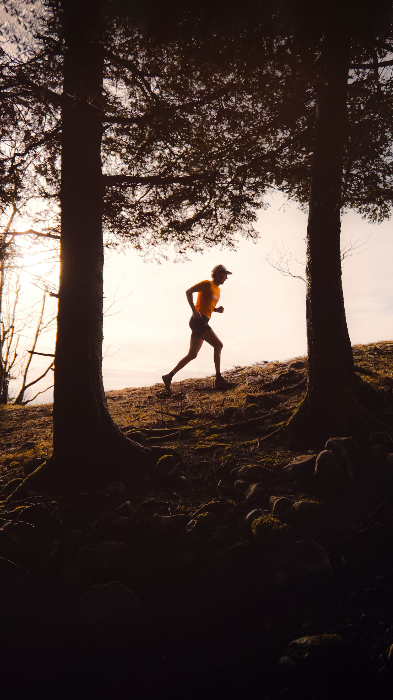 High-Five Festival 2024