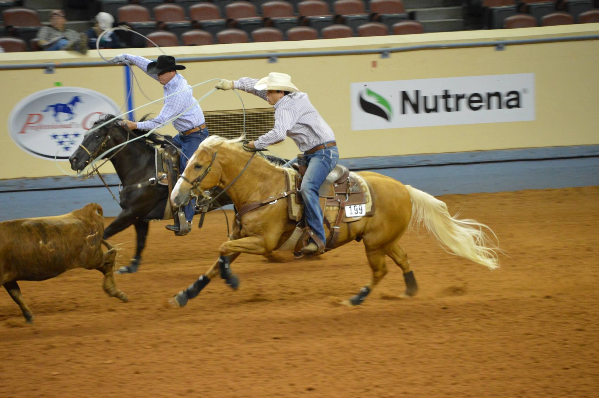 BOBO - Briggs Performance Horses