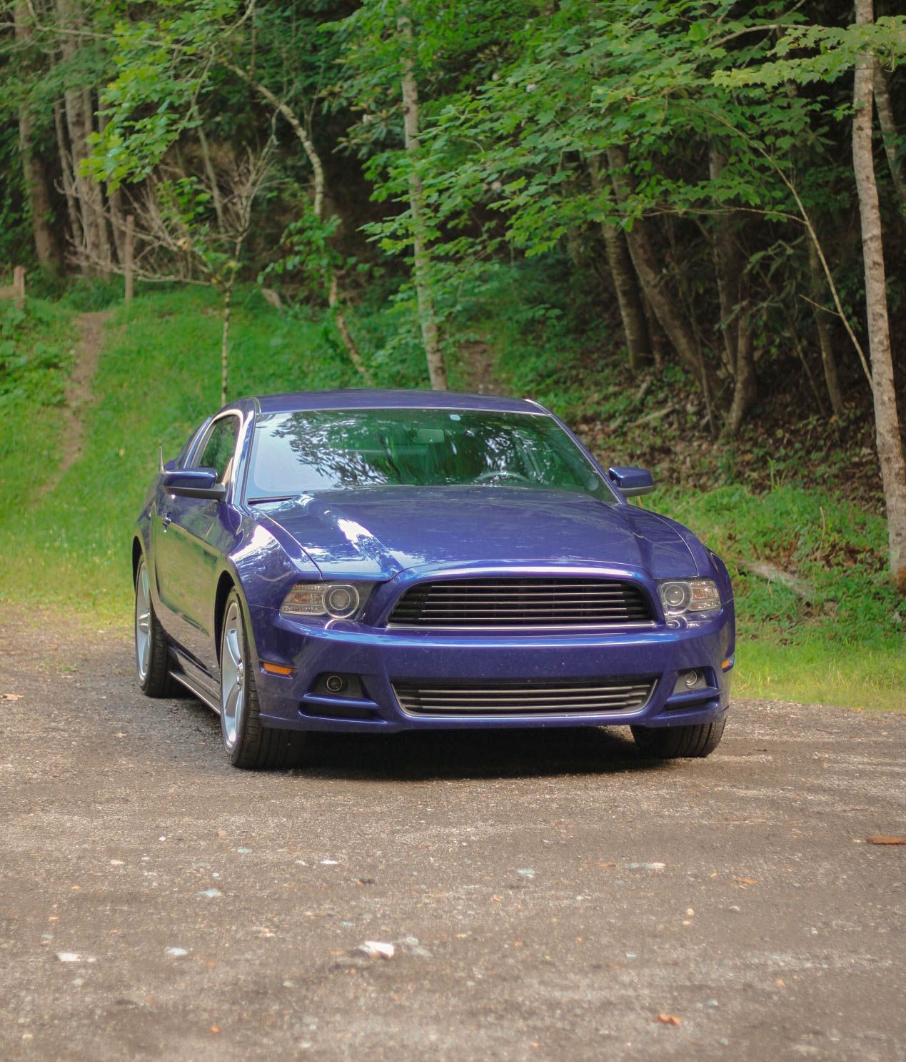 Portfolio - Little Oak Tree Photography