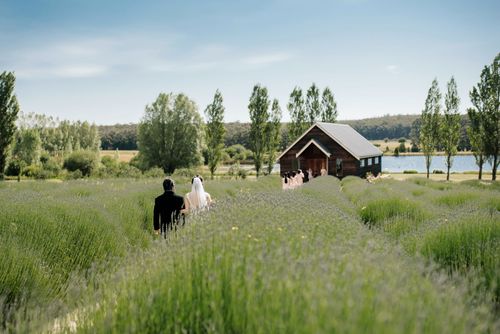 Rachel May Photography