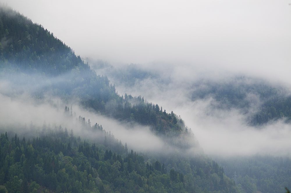 Kontakt - Fotograf Monica Hellem