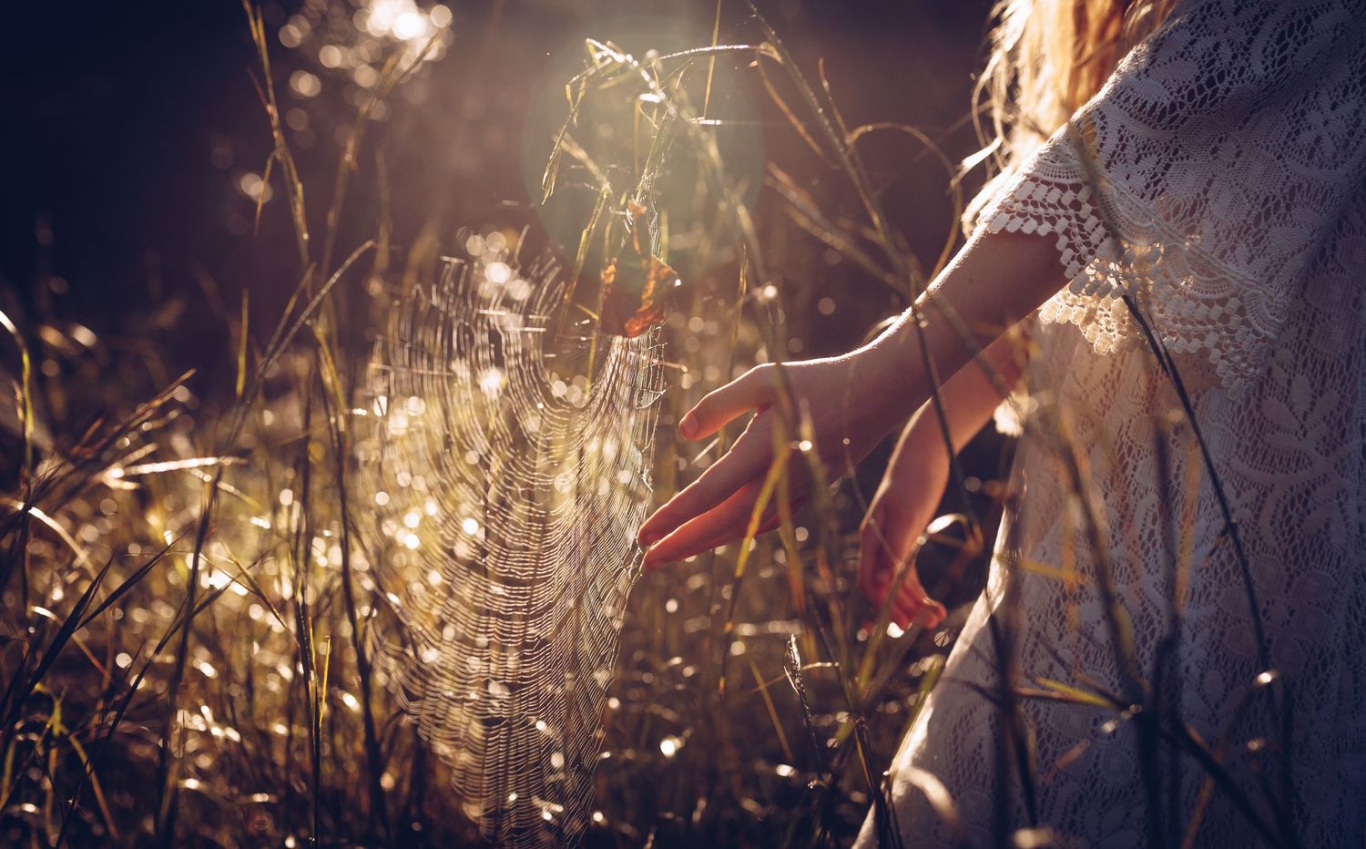 Portfolio - Ali Stewart Photography