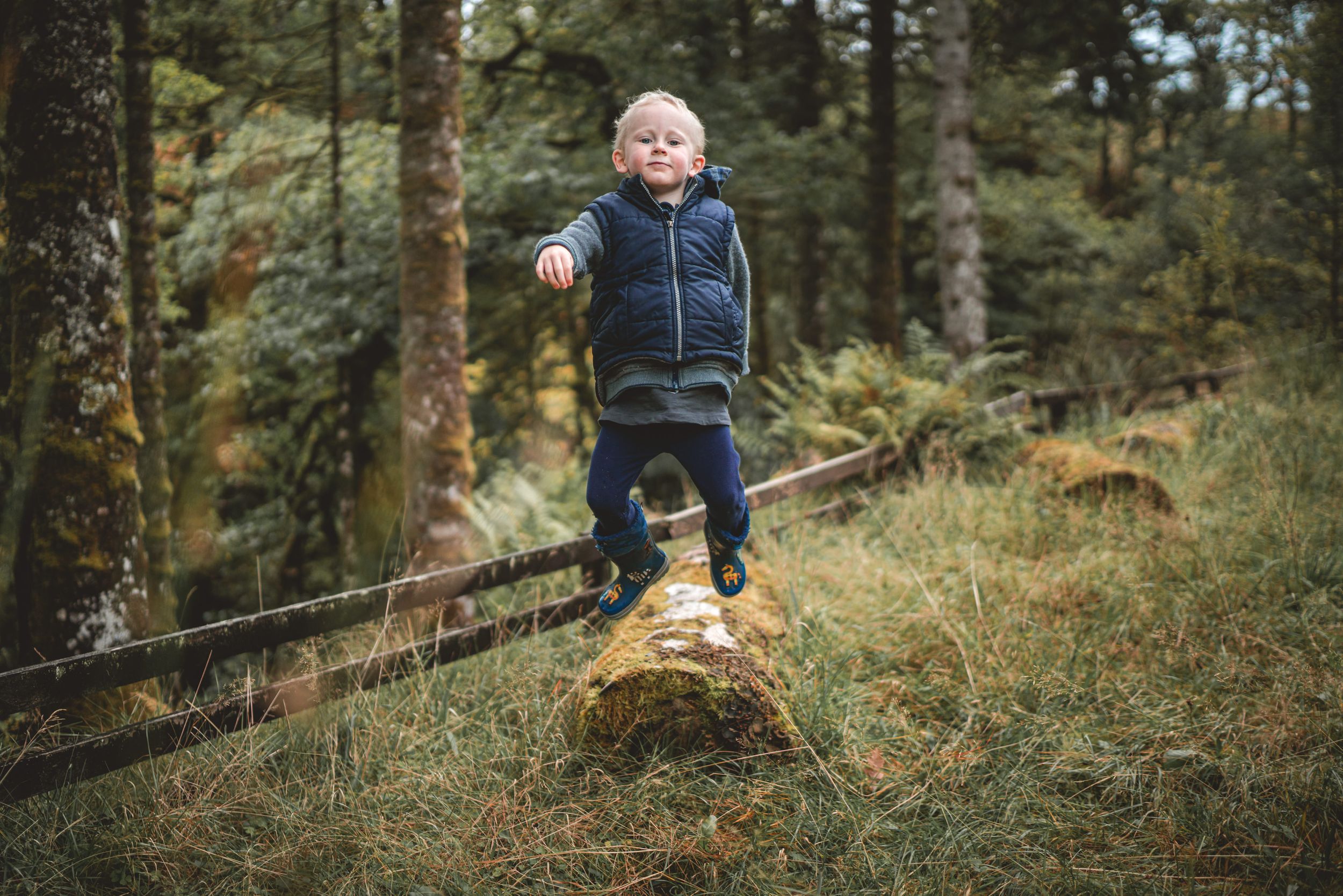 Physical Benefits of Foraging - The Grizzly Forager: The Definitive ...