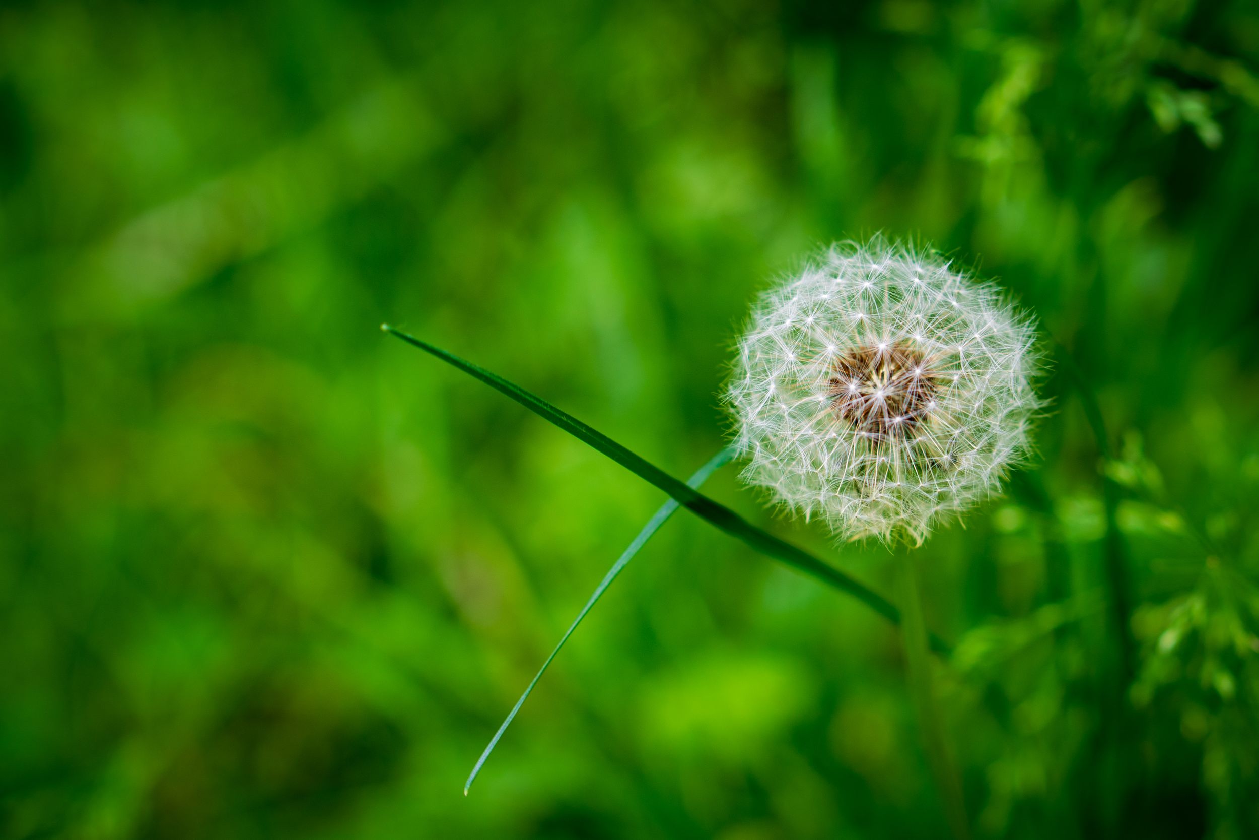 As Seen In... - S. Lapointe Photography
