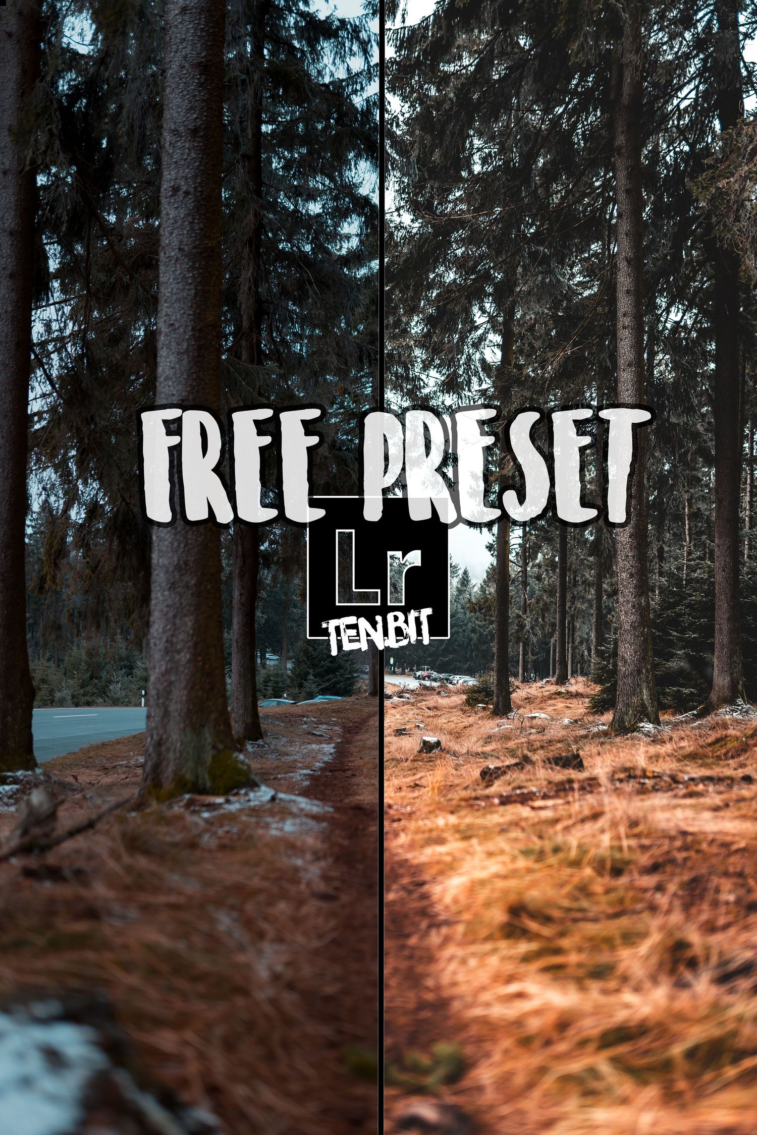 PRESETS - TEN.BIT
