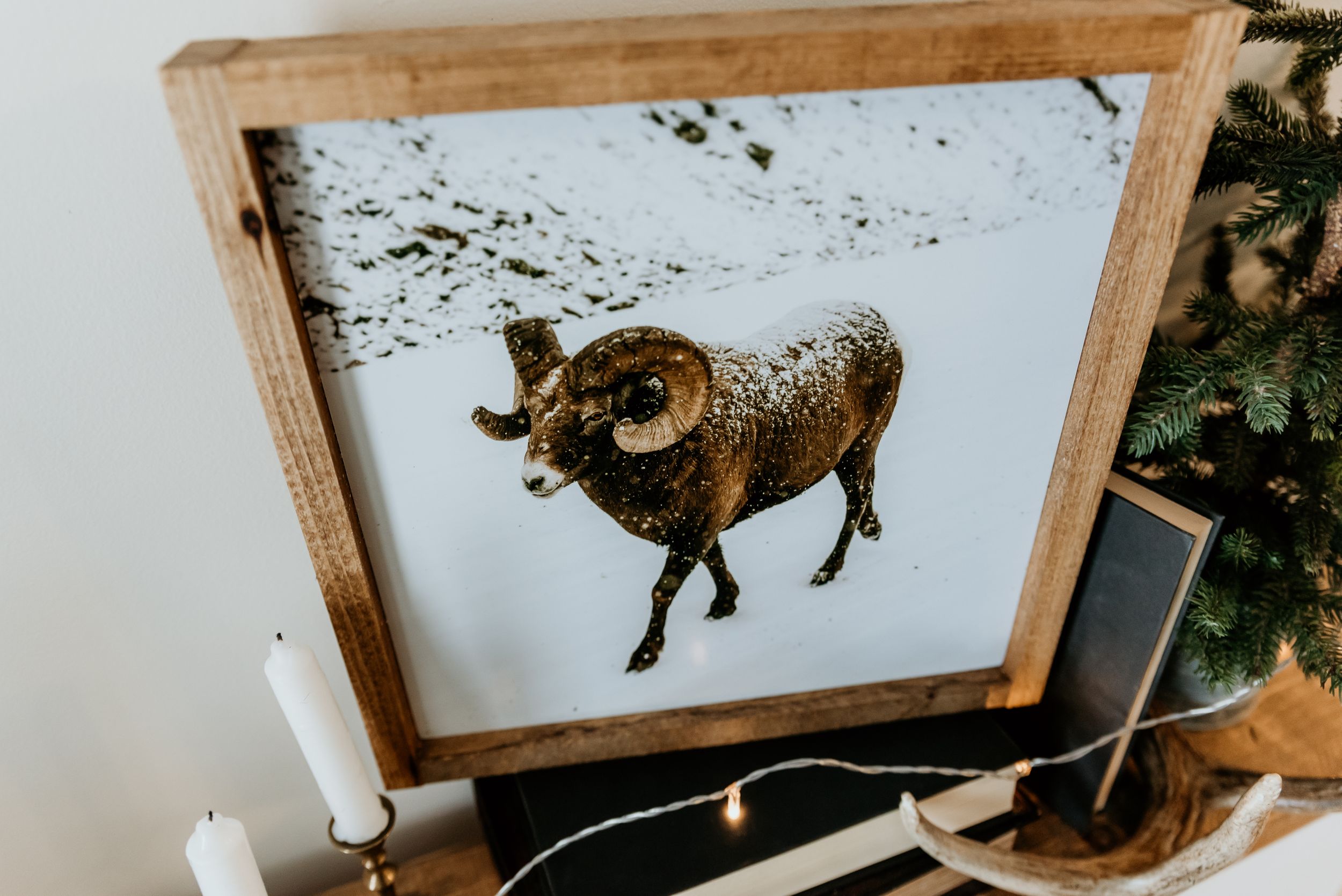 Wooden Photo Blocks - Wild With Wonder Photography & Handmade