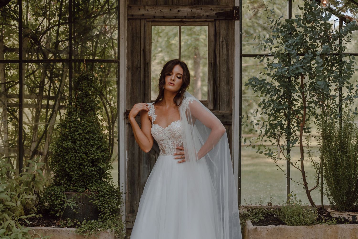 White Rose Photography