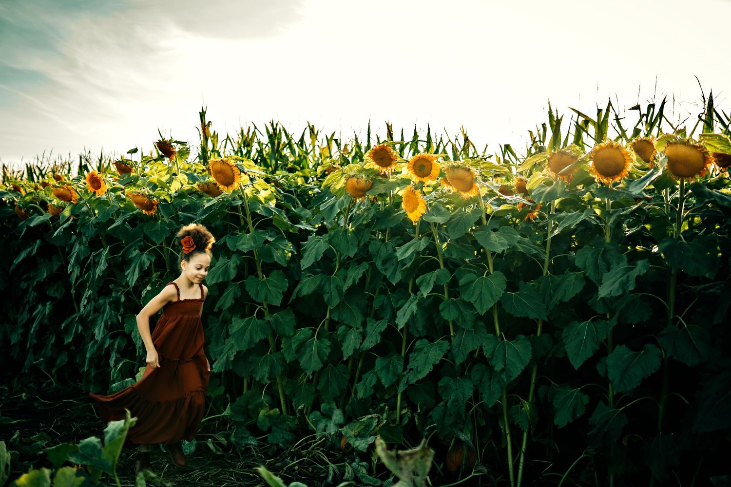 Contact - Olive Bennett Photography