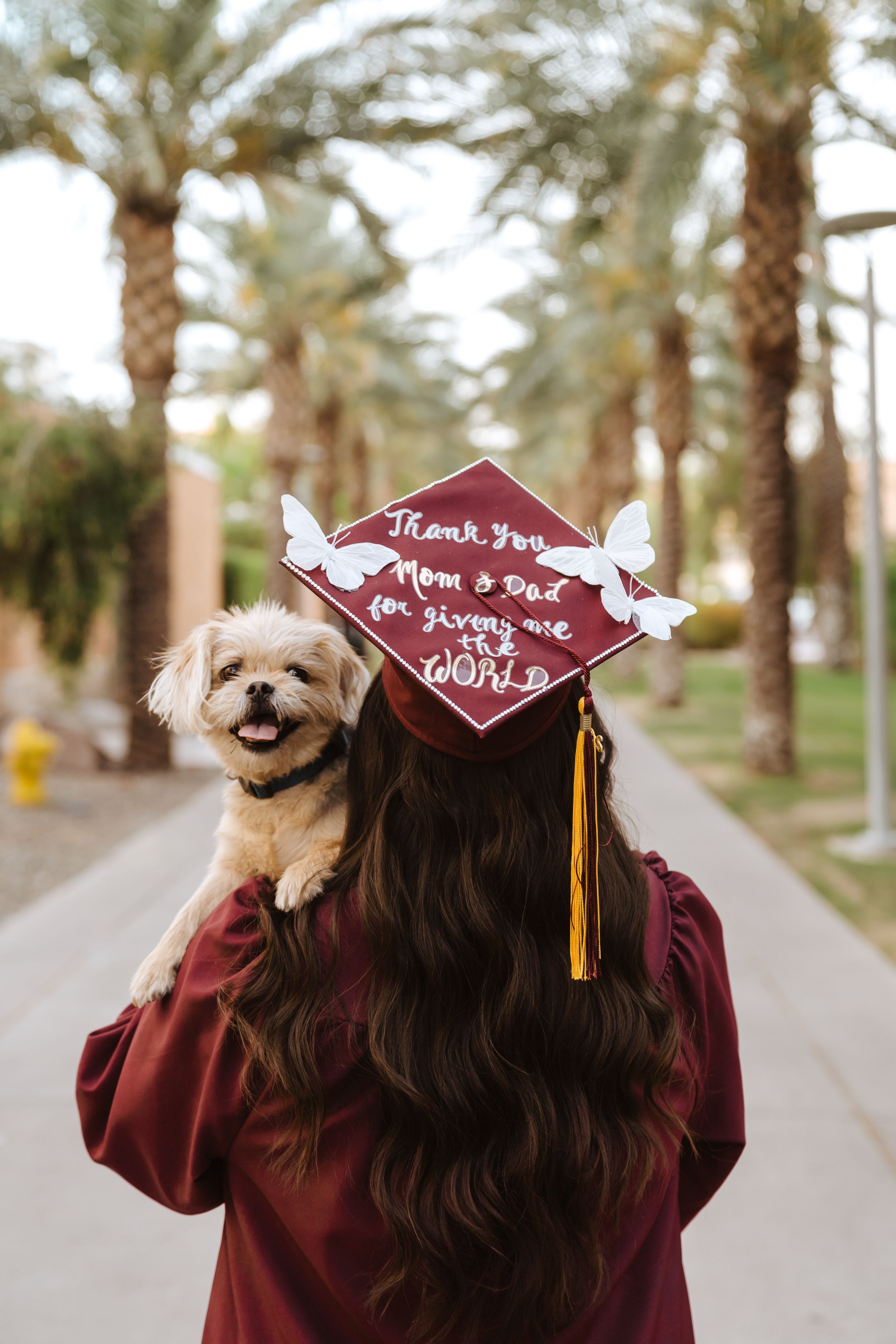 Graduate and Senior Portraits - Andrea Neff Photography