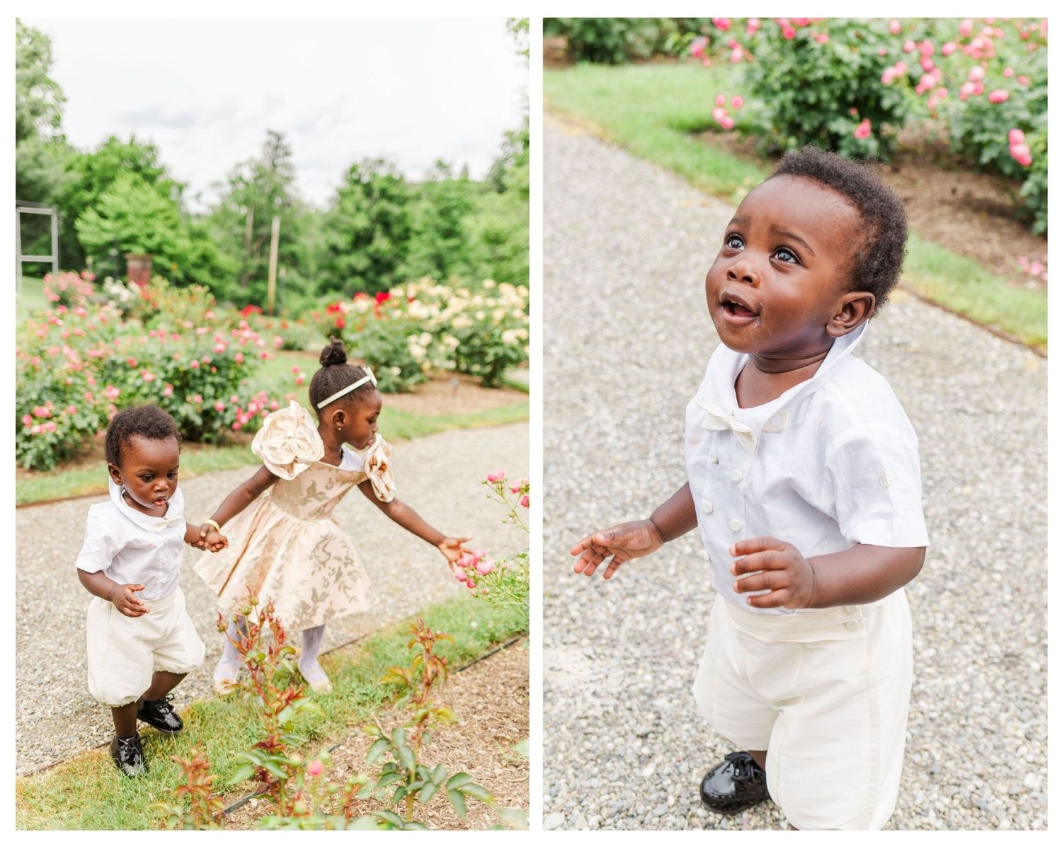 Hyde Park, NY Anniversary Session | Hudson Valley Photographer | Mary ...