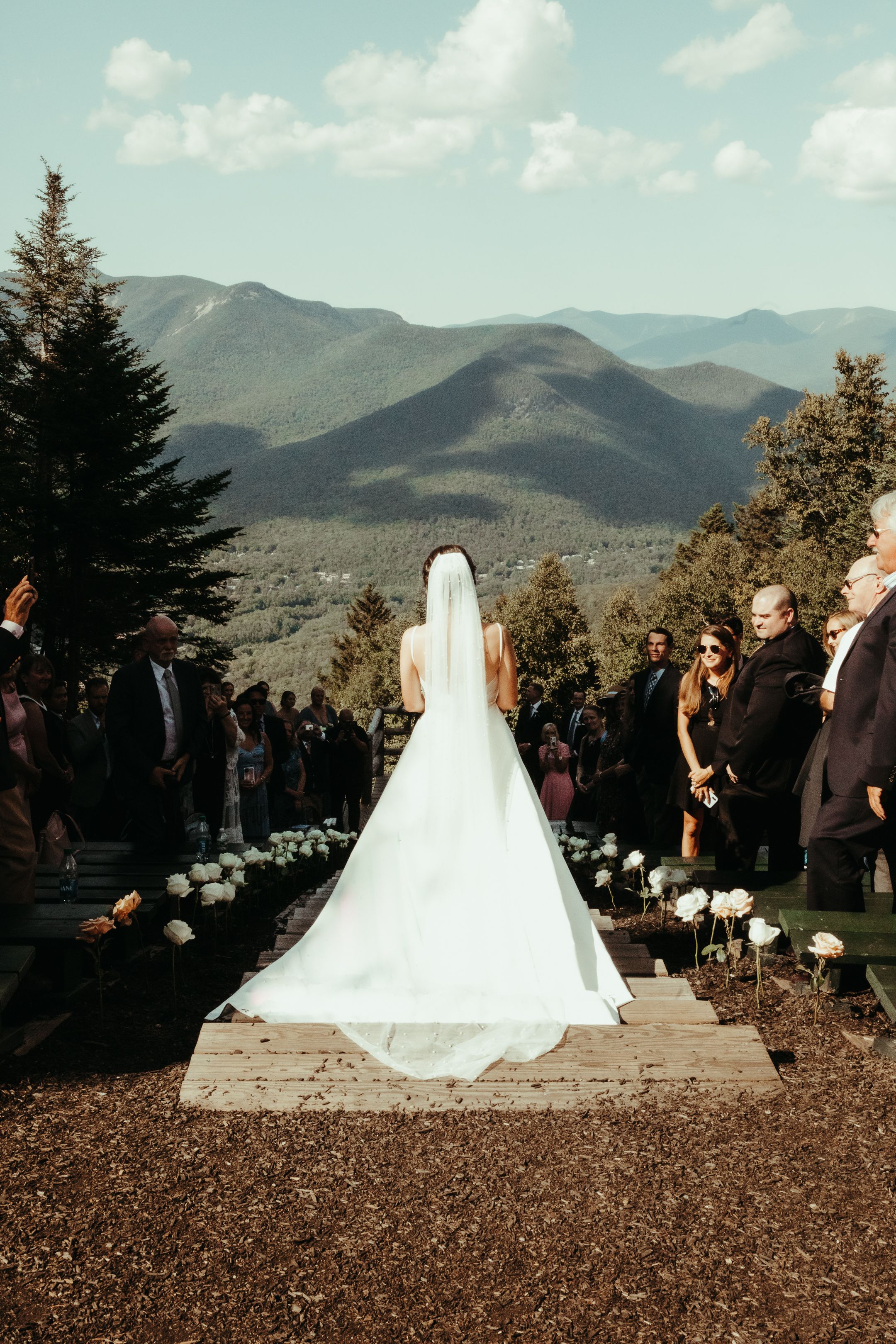 Email, website, text, social media, instagram, facebook, tiktok ...