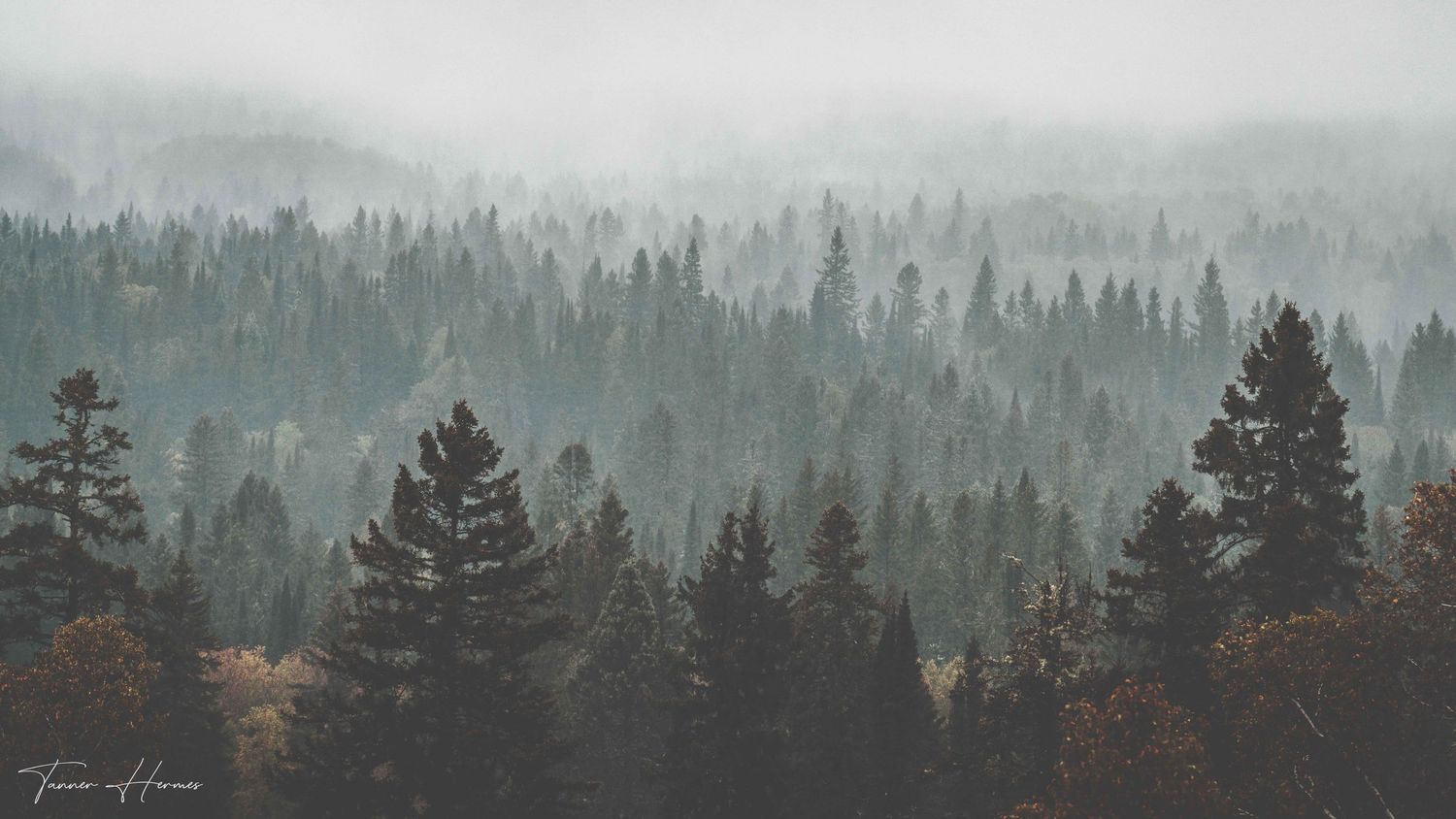 Northwoods Landscapes - Tanner Hermes Photography