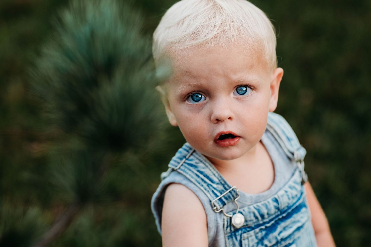 The Liette Family | Cox Arboretum - Marcy Holderman Photography