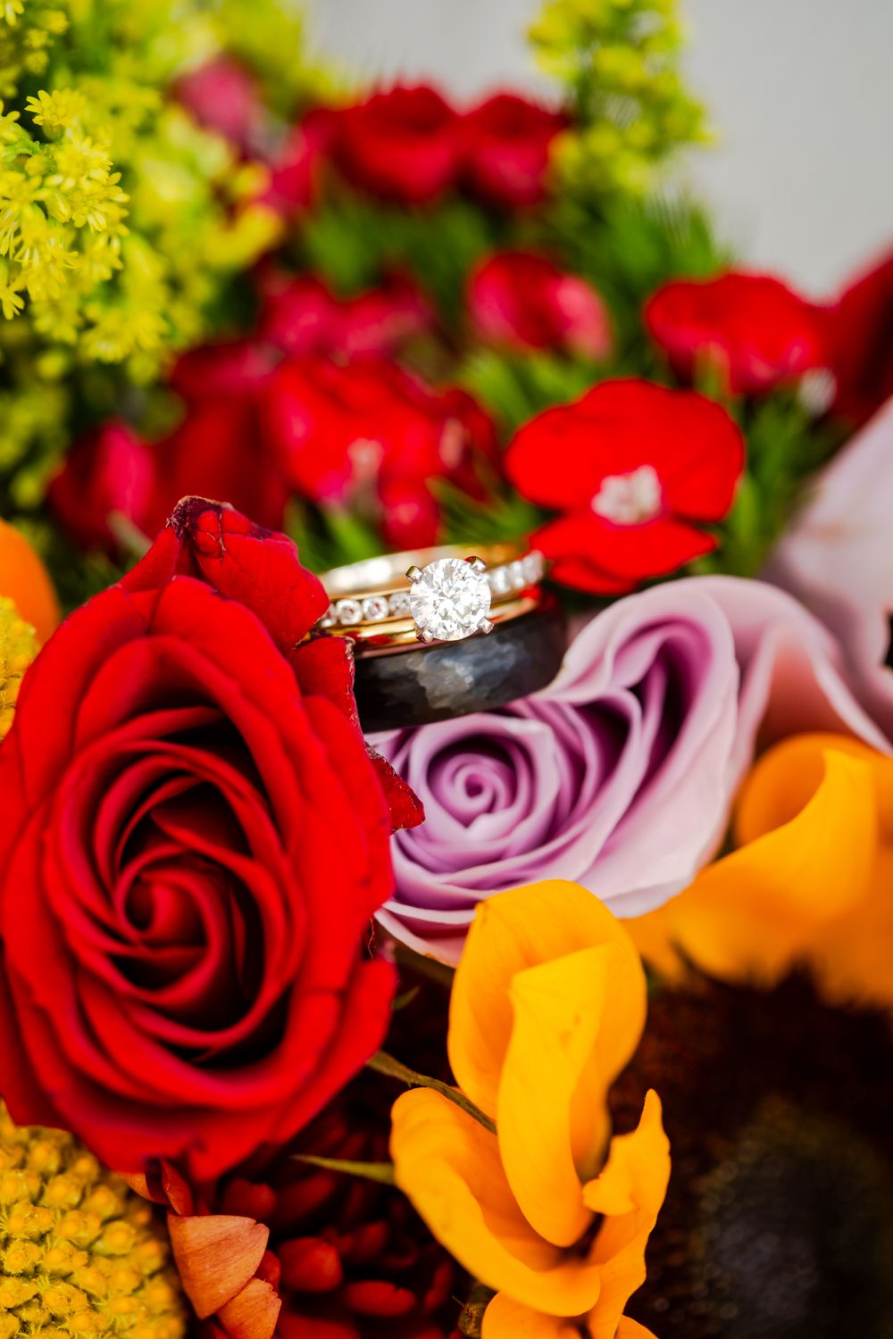 Colleen + Bradley - Trevor Ritsema Photography || Michigan Photographer