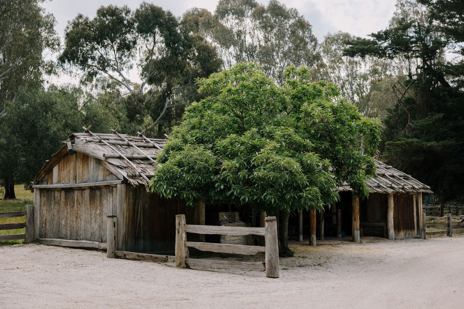 My & Andrew - MELBOURNE PHOTOGRAPHER || Weddings, Portraits, Birthdays ...