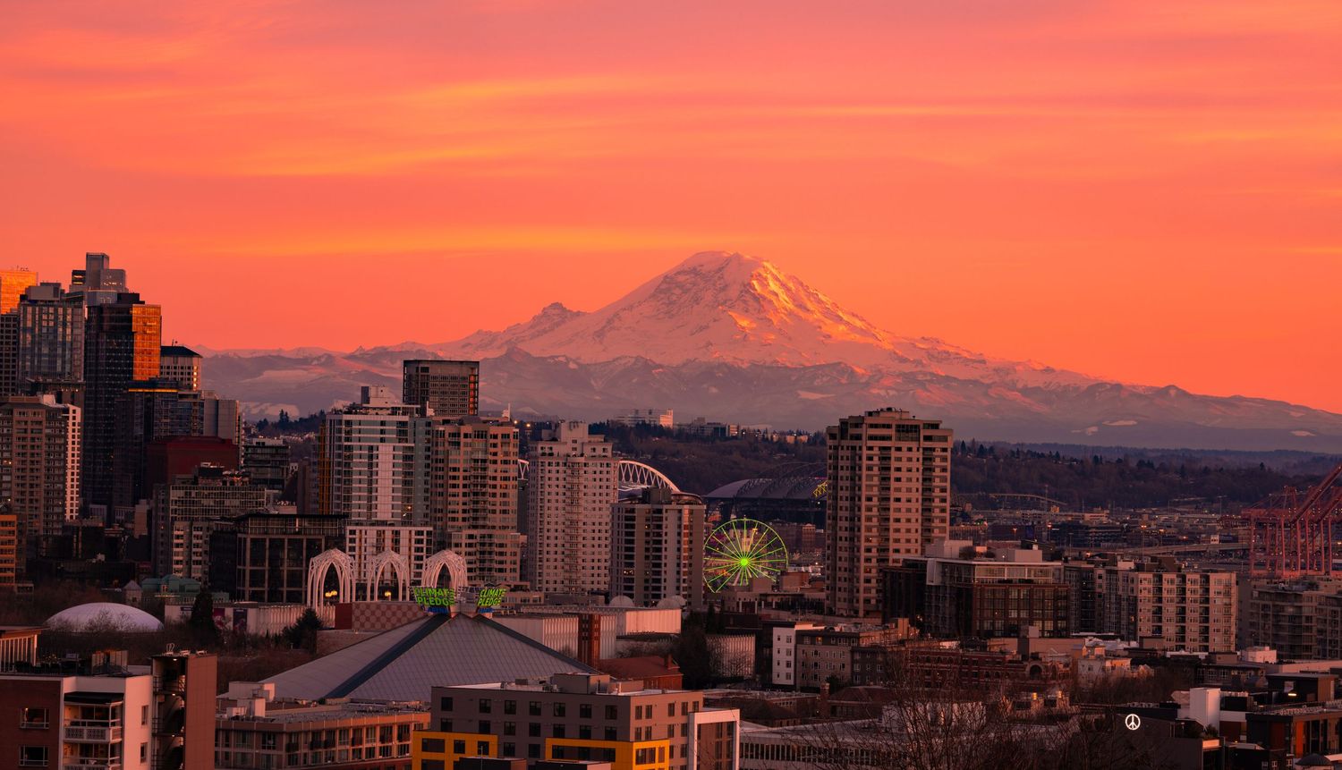 Shea Sullivan Photography