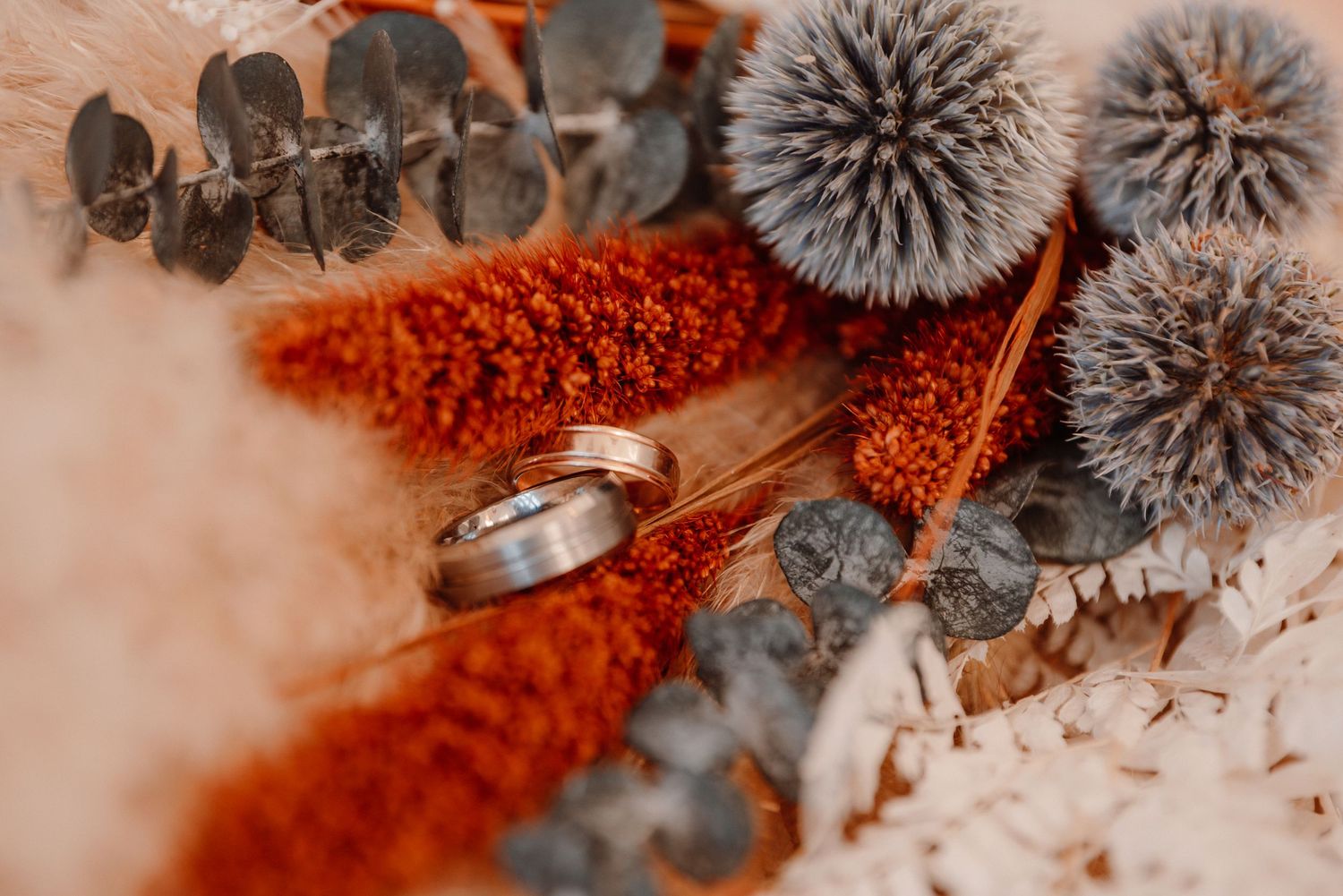 Hannah Madison Photography