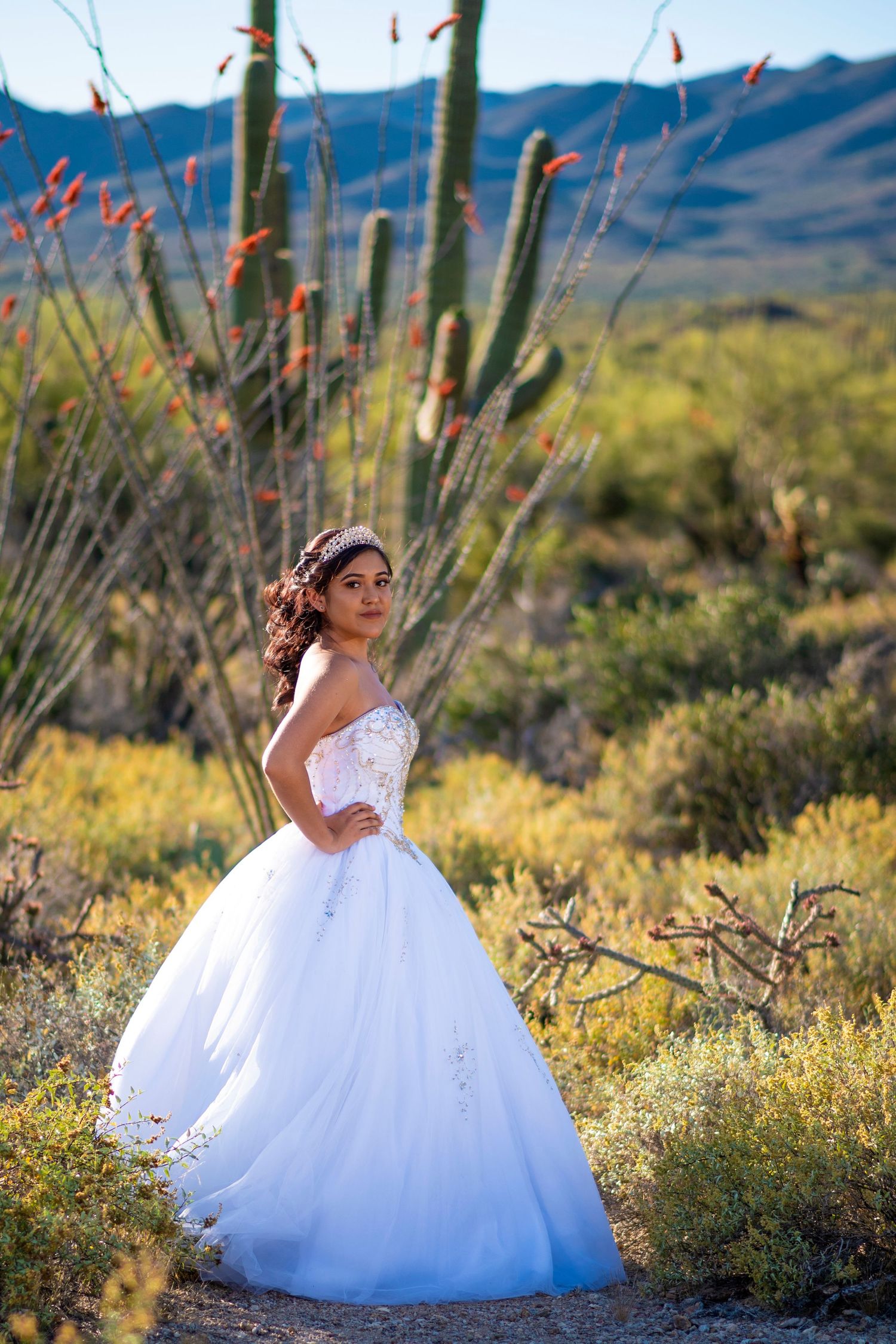 Tucson Photographer | Wedding - Senior Portraits - Family Portraits ...