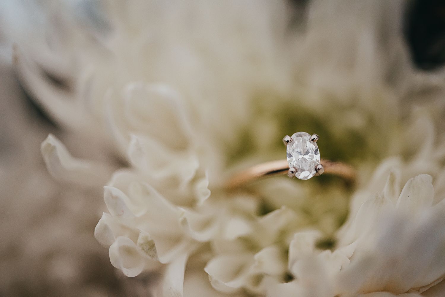 FAQ - Urhammer Photography