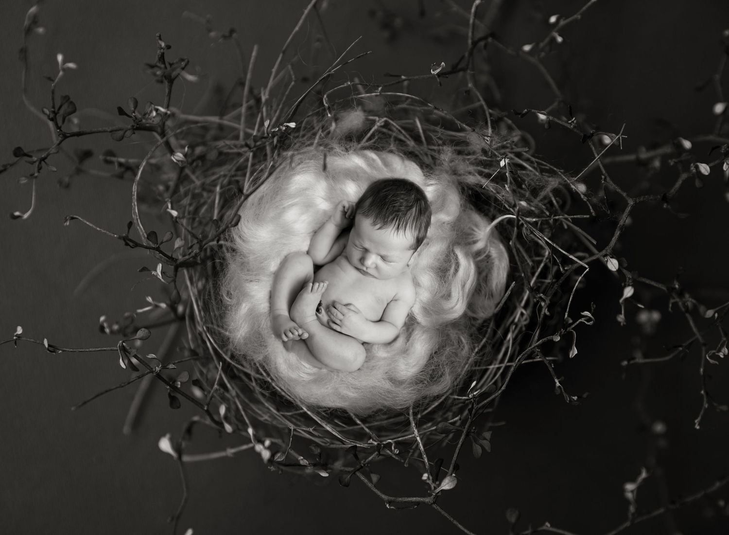 Investment - Envious Photography