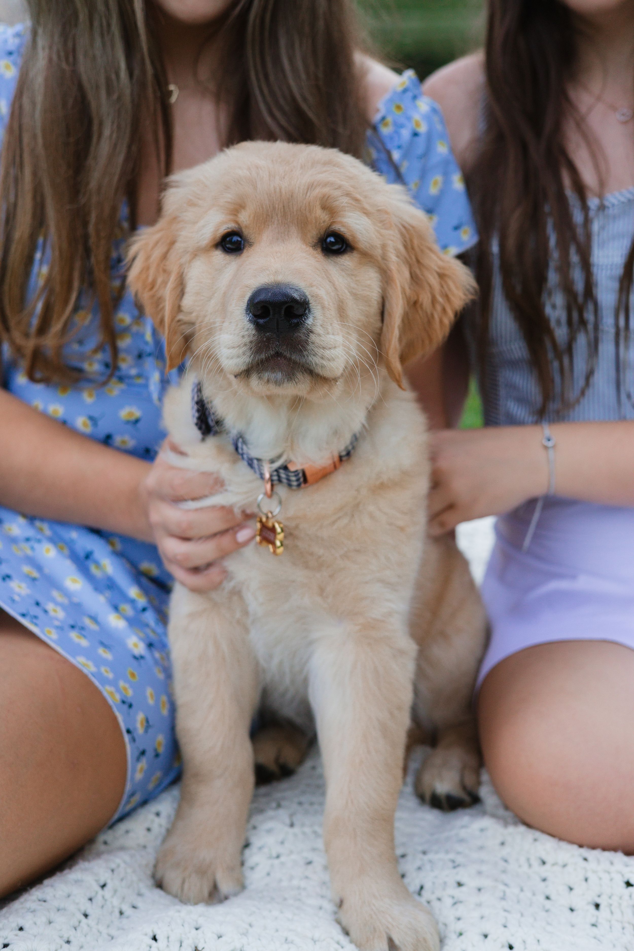 Kate Carlson Photography