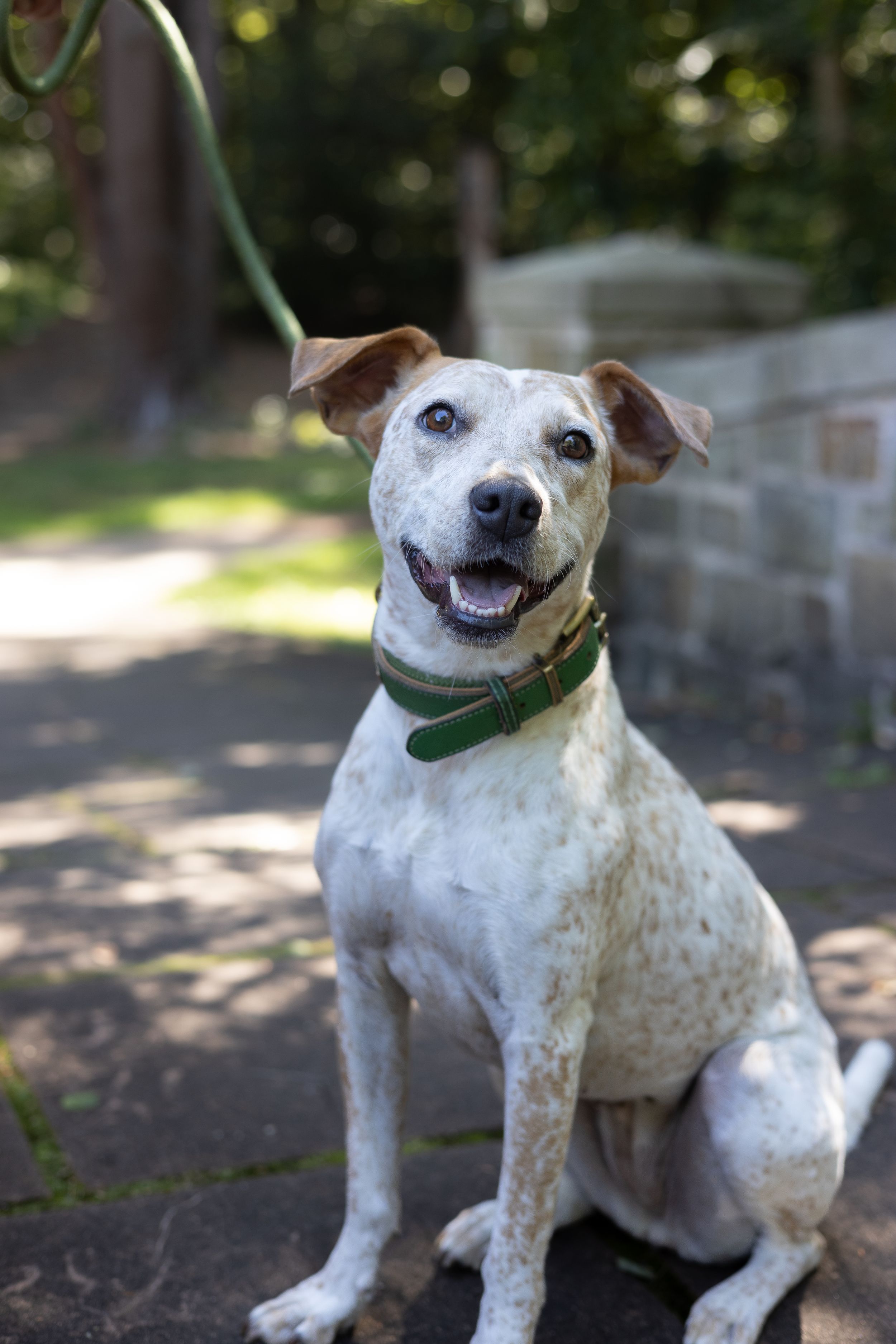 Kate Carlson Photography