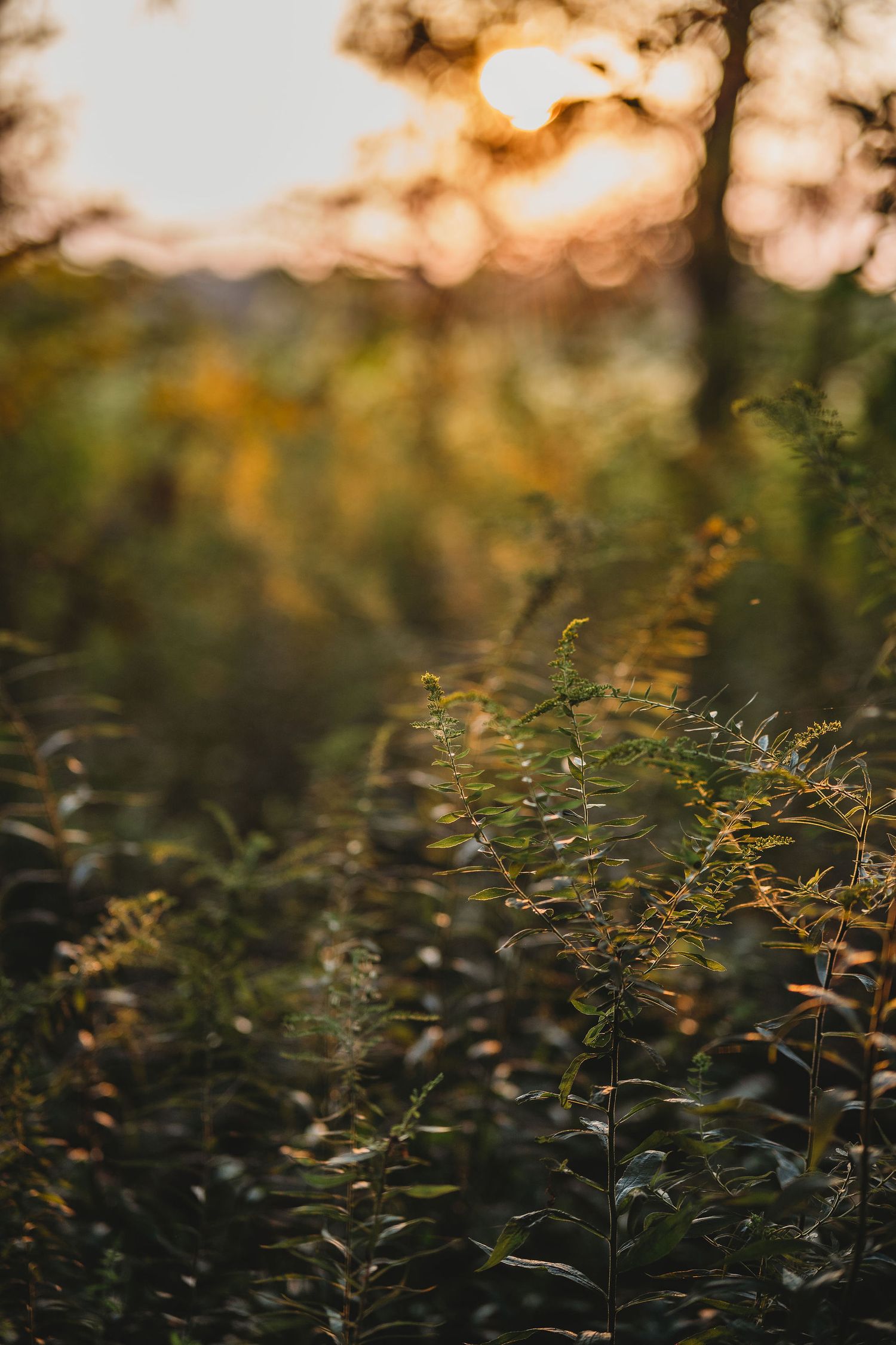 Boudoir Guide - Lily Parry Photographer