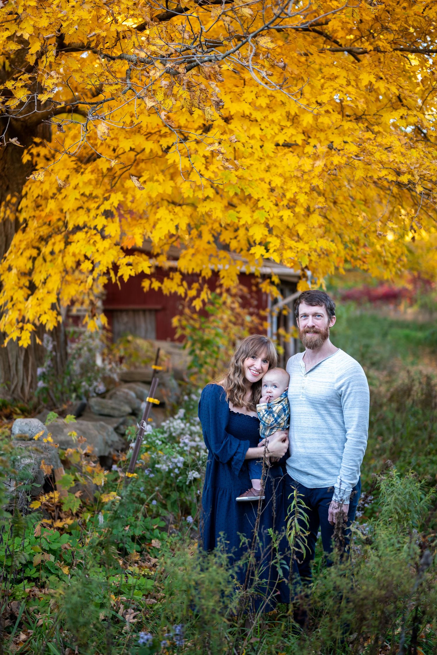 Portfolio - Helen Provost Photography