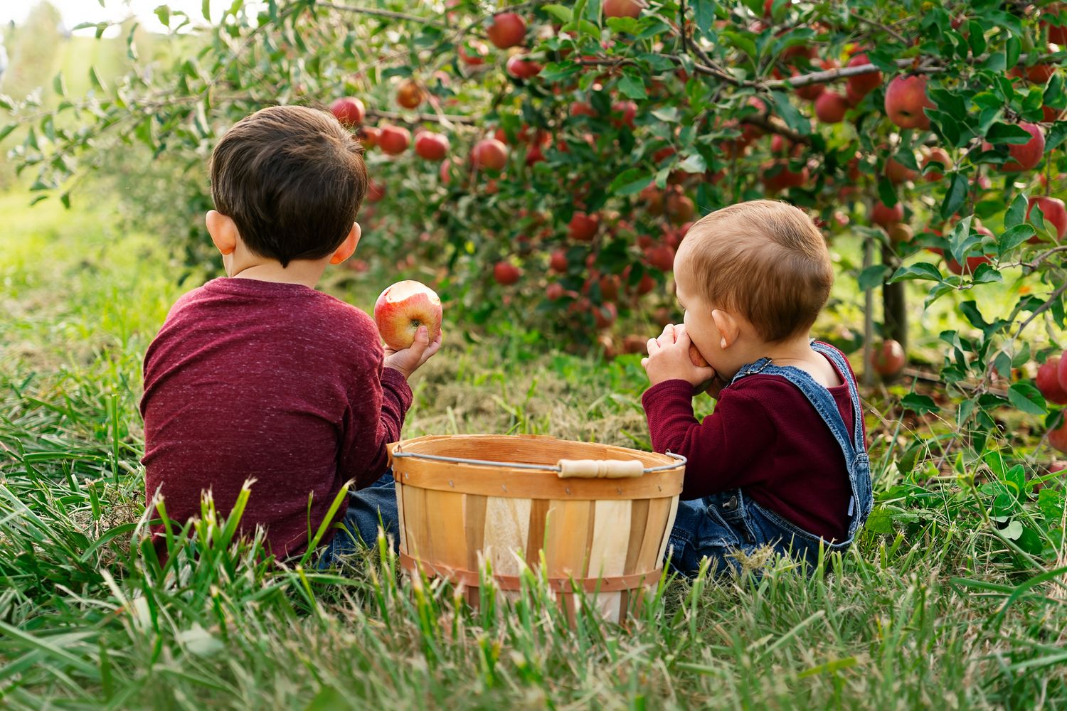 Apple Orchard Photoshoot - Victoria Christine Photography