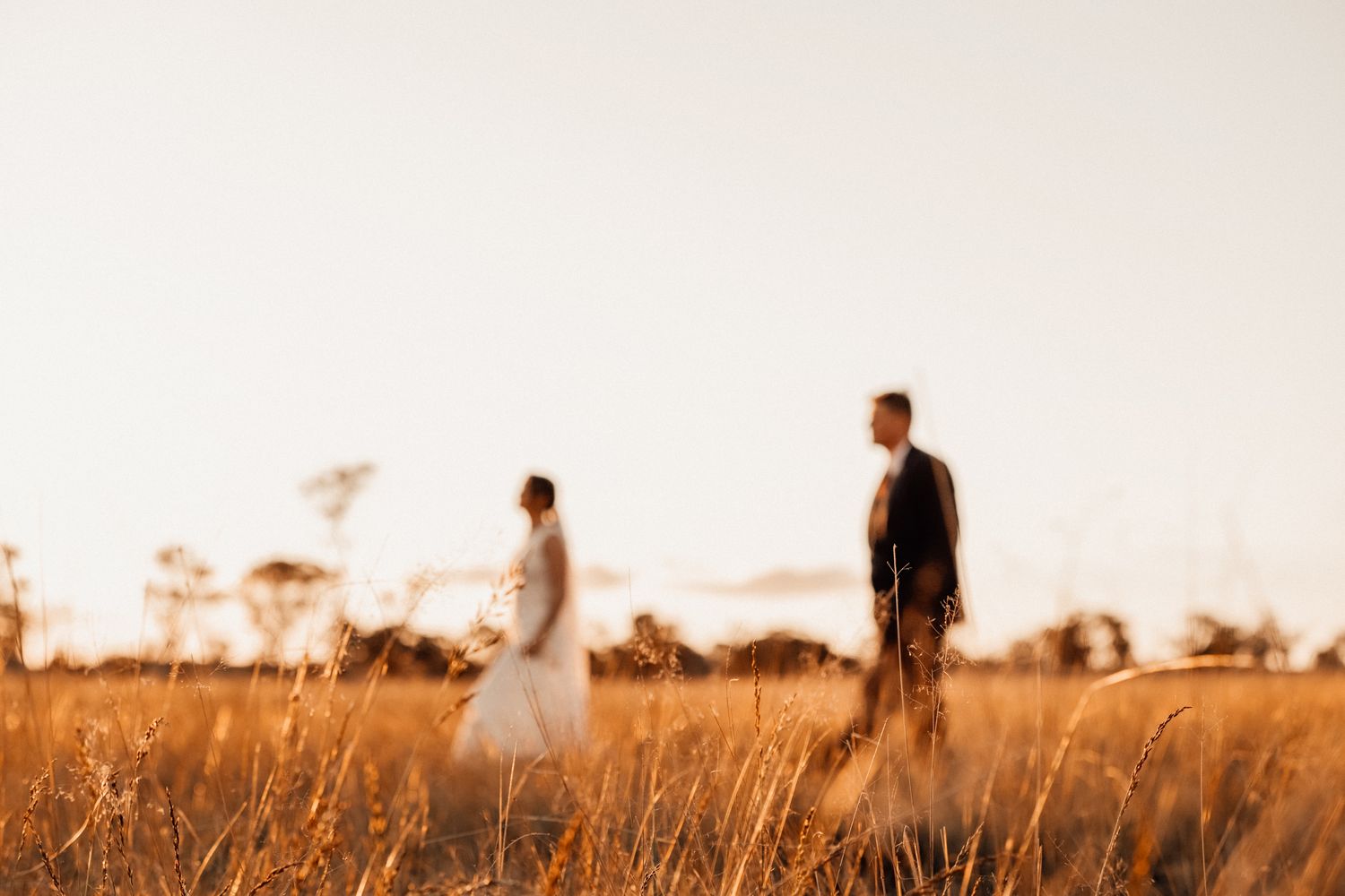 Investment - Lyd's Pixs Photography