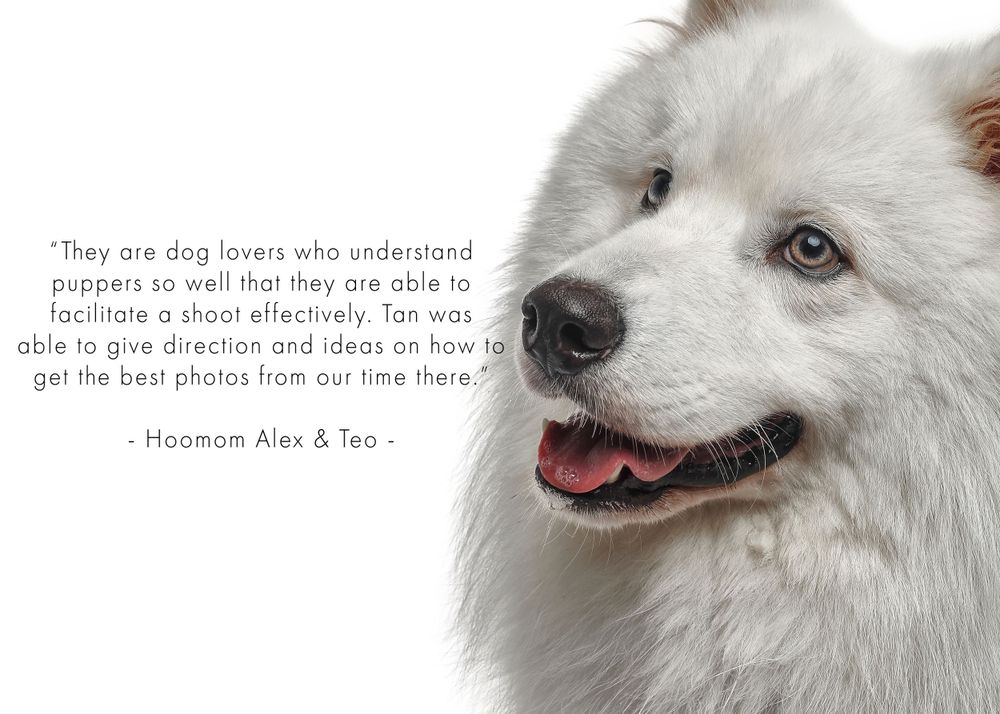 Pet Visuals | Dog Photographer Manila