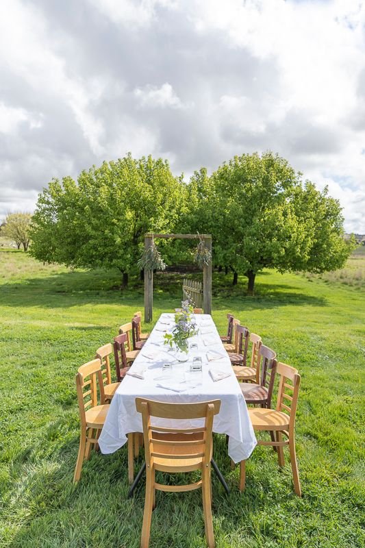 Forage & Fodder - Em Callaghan Photography