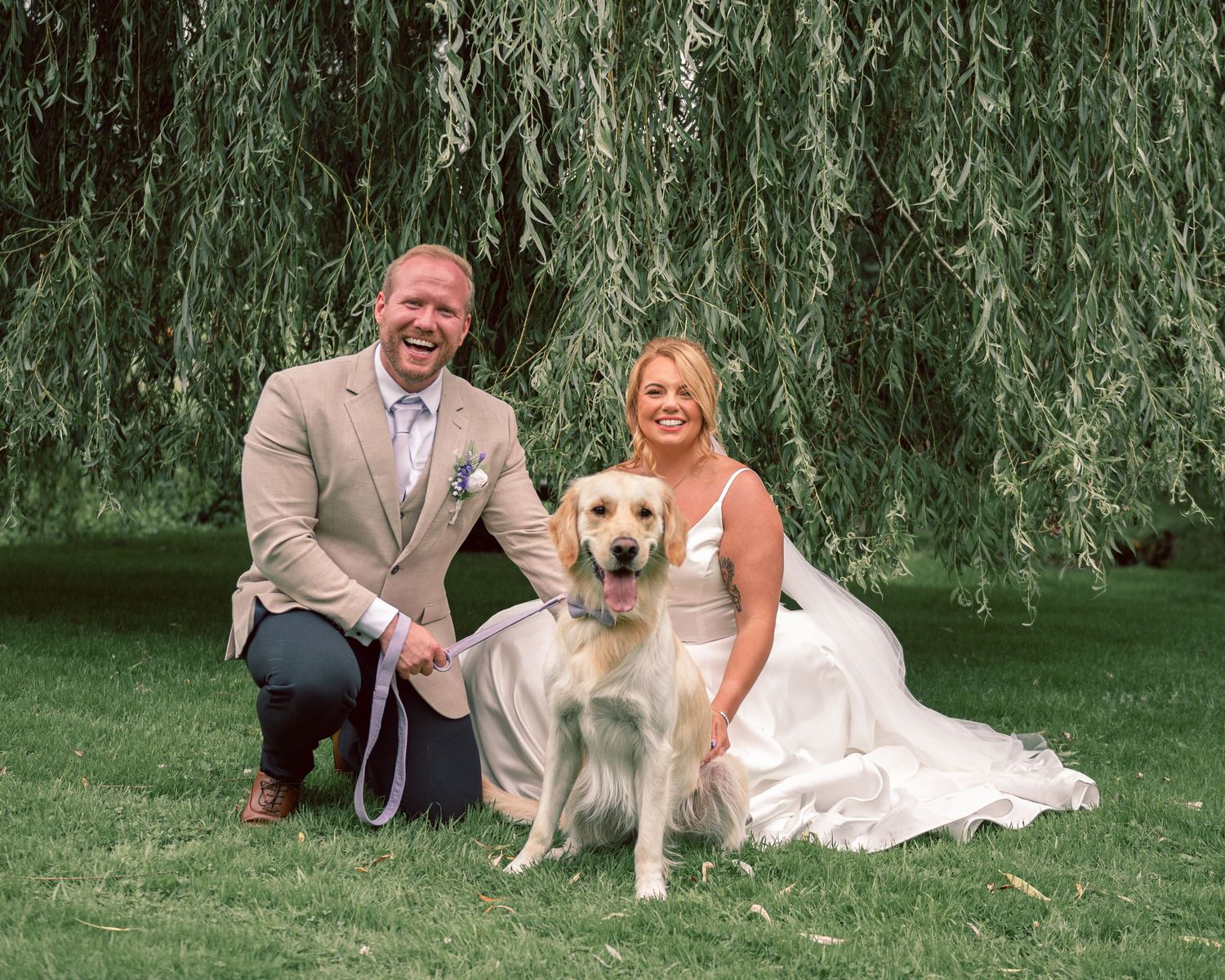 weddings - Paw Prince Photography